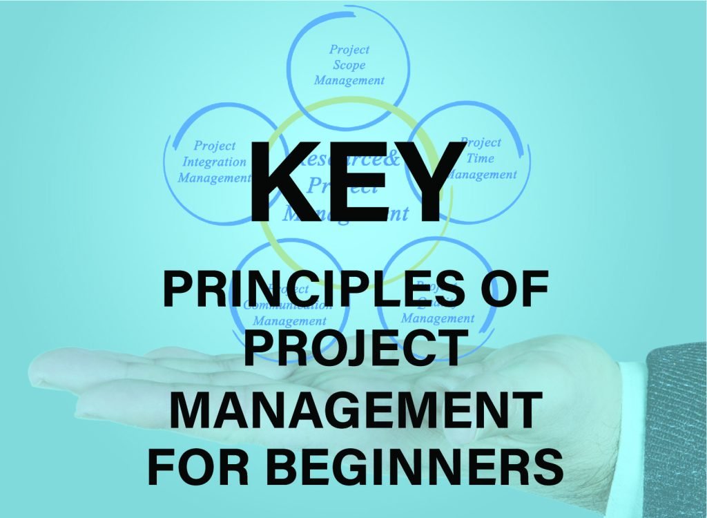 Project Management Strategies for Success