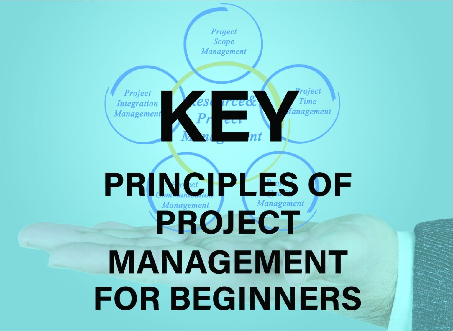 Project Management Strategies for Success
